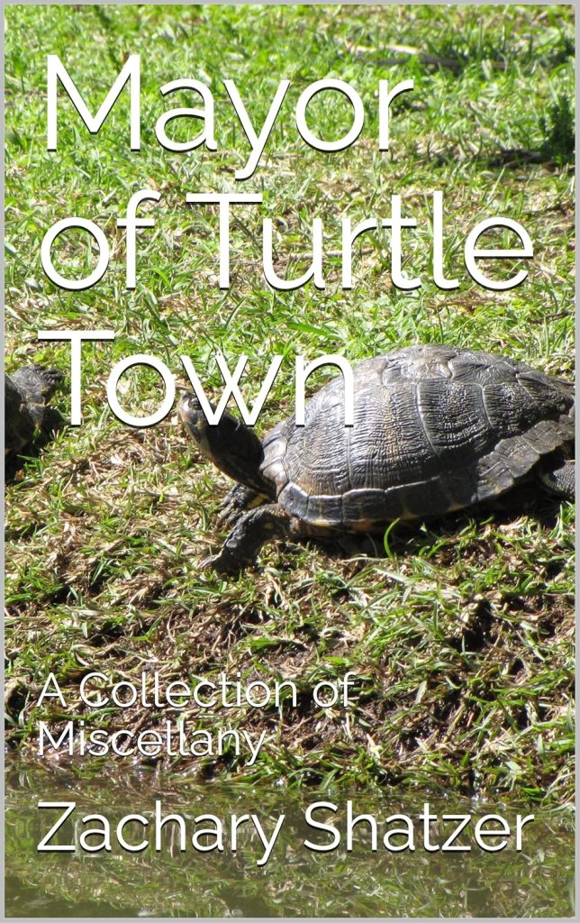 Book Review: “Mayor of Turtle Town” by Zachary Shatzer